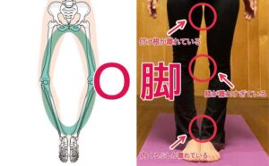 仕組みを知ればくっつく！O脚改善ヨガポーズ 【SUAY-LABO】