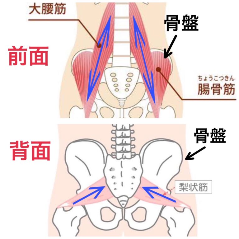 仕組みを知ればくっつく！O脚改善ヨガポーズ 【SUAY-LABO】