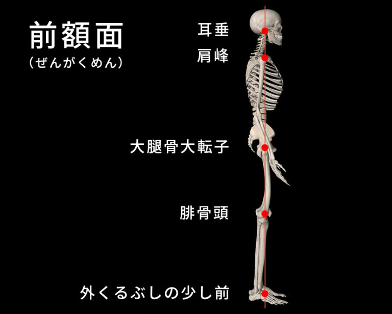 腰痛予防のための正しい姿勢とセルフチェック方法 【SUAY-LABO】