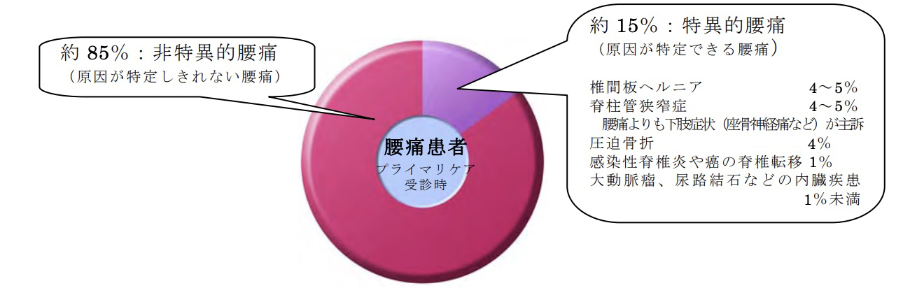 ヨガを活用した腰痛のタイプ別改善方法 【SUAY-LABO】