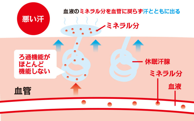 ヨガでいい汗をかくためには筋肉をしっかり使うヨガ運動がおすすめ 【SUAY-LABO】